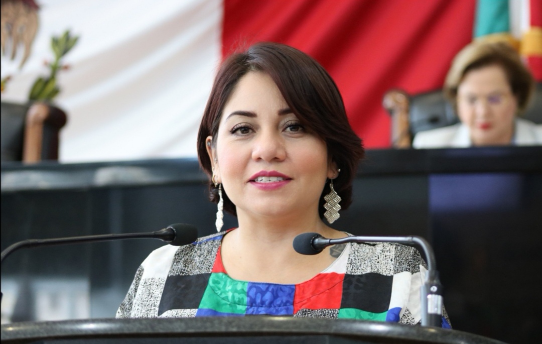 Logra diputada Ozaeta incorporar educación emocional en las escuelas ...